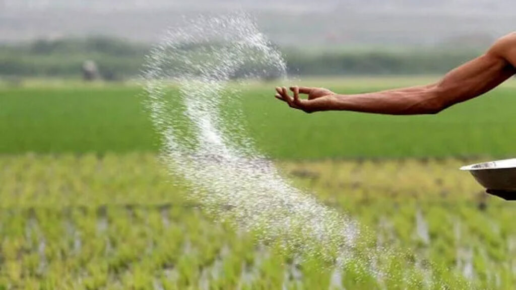Farmers to be provided a 50kg bag of Urea at Rs.10,000 – Sri Lanka ...