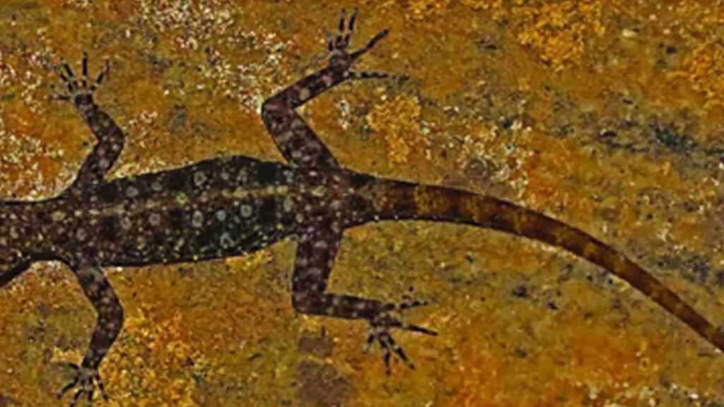 Two new gecko species discovered – Sri Lanka Mirror – Right to Know ...