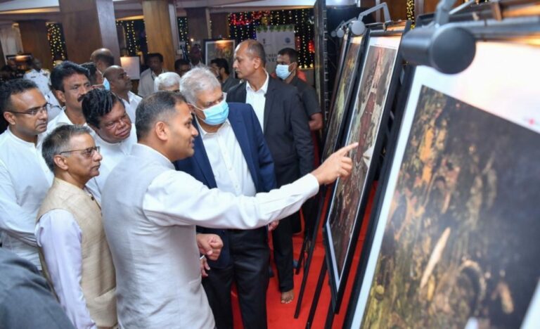 Buddha Rashmi’ Vesak festival inaugurated (Pics) – Sri Lanka Mirror ...