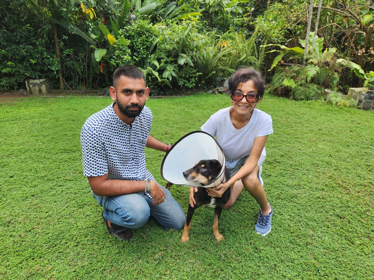 Taj Samudra & Rescue Animals team up to help the voiceless – Sri Lanka ...