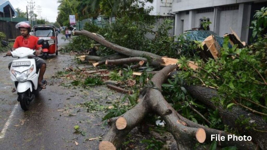59 incidents of trees falling, within CMC jurisdiction – Sri Lanka ...
