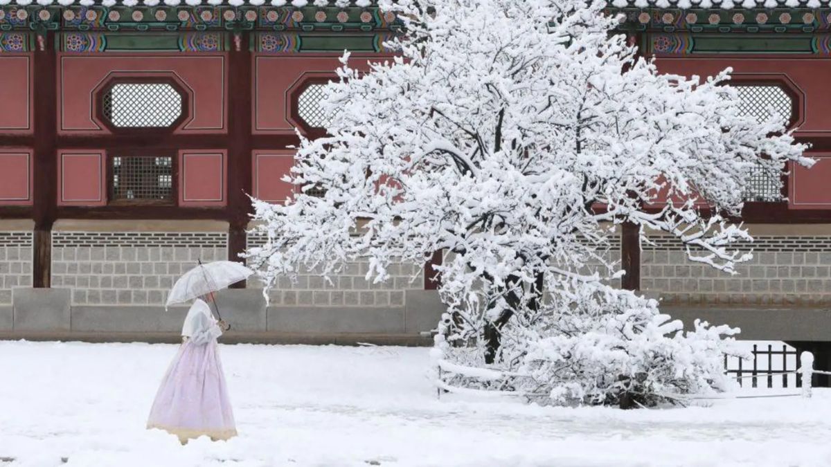 Seoul blanketed by heaviest November snow on record – Sri Lanka Mirror ...