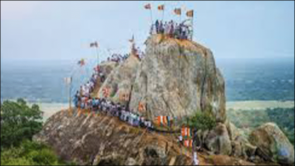 National Poson Week begins – Sri Lanka Mirror – Right to Know. Power to ...