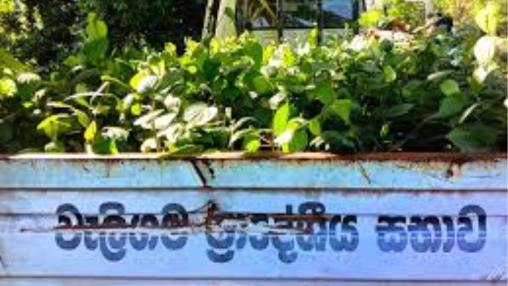 Missing NPP members of Weligama PS, resurface (Update) – Sri Lanka ...