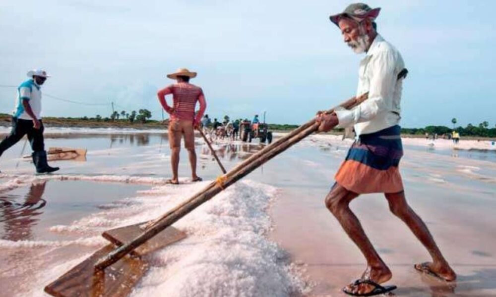 Lanka Salt recommences salt production in H’tota – Sri Lanka Mirror ...