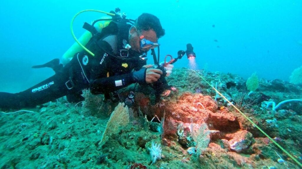 Godawaya shipwreck exhibition from Sep. 03 – Sri Lanka Mirror – Right ...