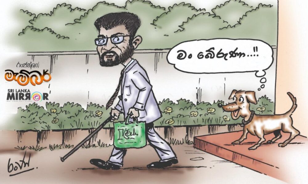 New member registration system under EPF Act – Sri Lanka Mirror – Right ...