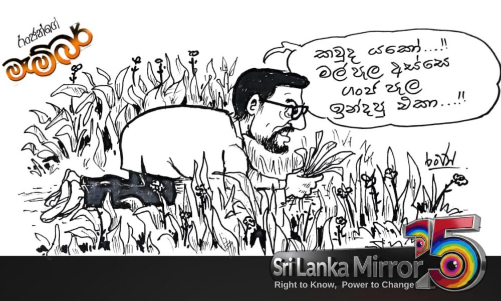 NWSDB launches online water connection system – Sri Lanka Mirror ...