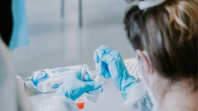 Himalayas bare and rocky after reduced winter snowfall, scientists warn ...