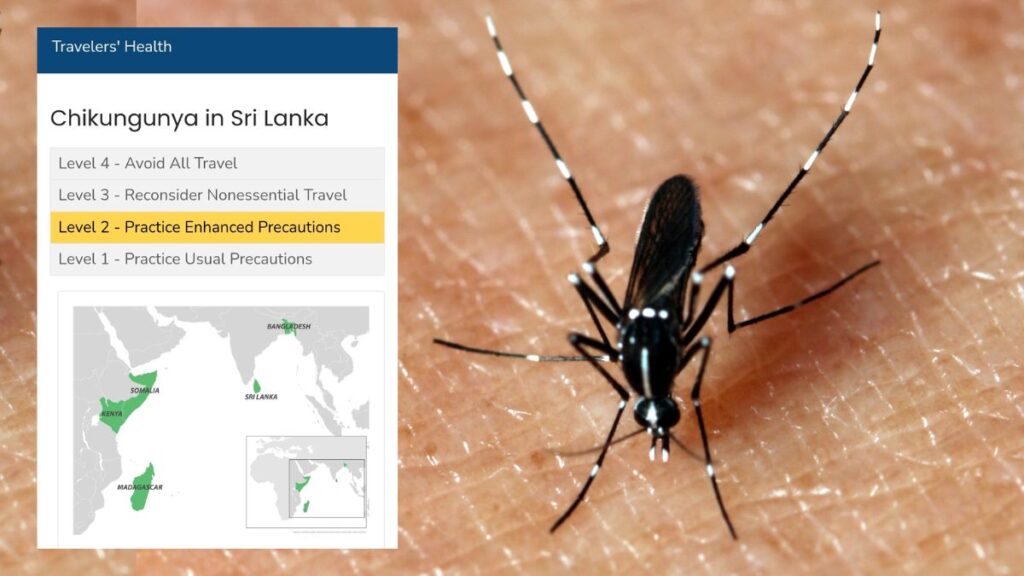 US issues Level 2 Chikungunya Virus alert in SL – Sri Lanka Mirror ...