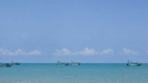 10 Indian fishermen arrested for poaching in SL waters – Sri Lanka ...