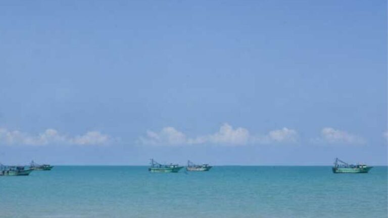 10 Indian fishermen arrested for poaching in SL waters – Sri Lanka ...