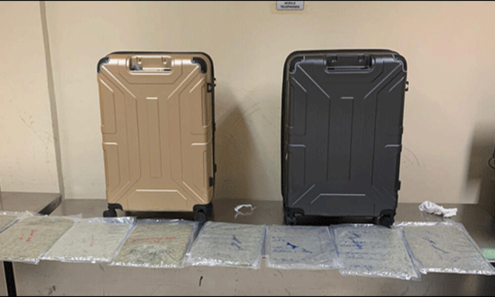 Sri Lankan arrested with over 8kg of ‘Kush’ at BIA – Sri Lanka Mirror ...